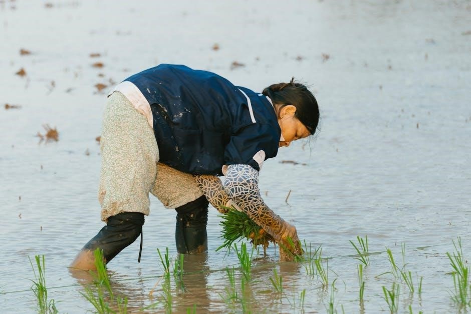 Aroma 6-Cup Rice Cooker: Your Quick Start Guide!